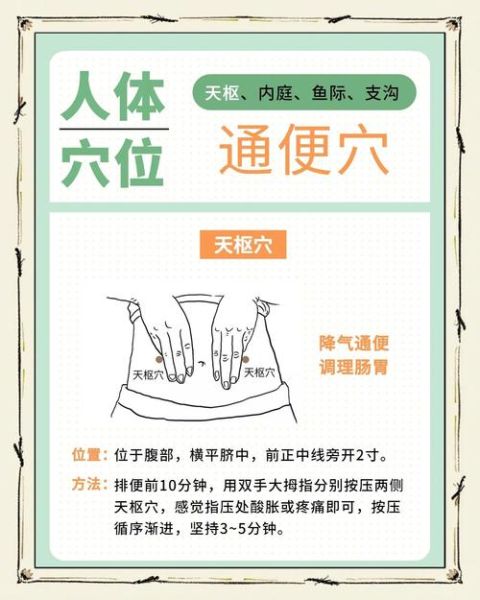 排便前按哪个穴位通便_如何快速排便-第3张图片-山城妙识 排便前按哪个穴位通便_如何快速排便-第3张图片-山城妙识