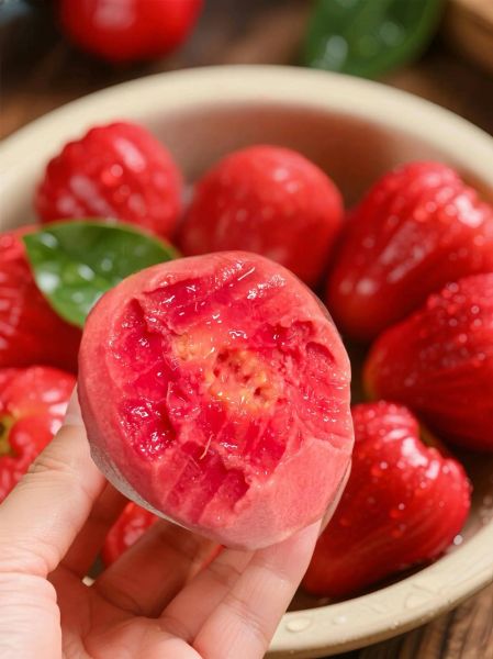 红心芭乐怎么吃_红心芭乐吃法大全-第2张图片-山城妙识 红心芭乐怎么吃_红心芭乐吃法大全-第2张图片-山城妙识