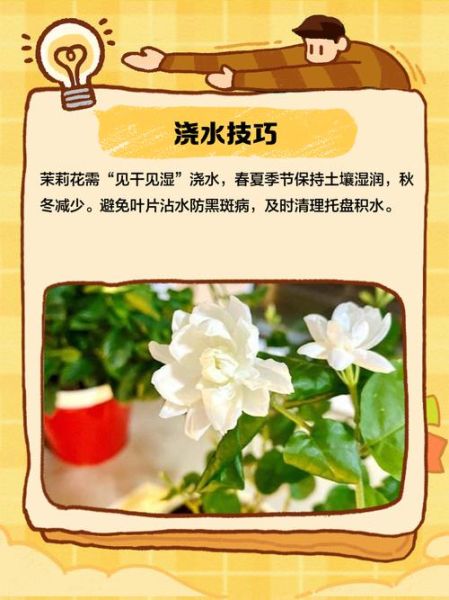 茉莉花怎么养_茉莉花养殖方法和注意事项-第2张图片-山城妙识