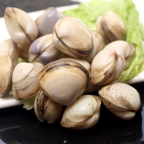 蚬子和花蛤的区别_哪个更鲜美-第3张图片-山城妙识