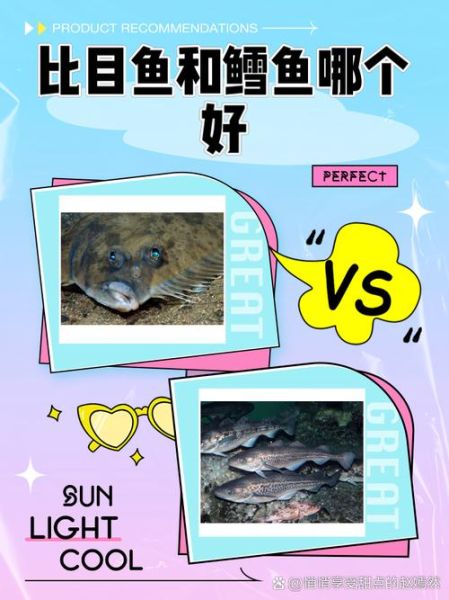 比目鱼工作室怎么样_比目鱼工作室靠谱吗-第2张图片-山城妙识