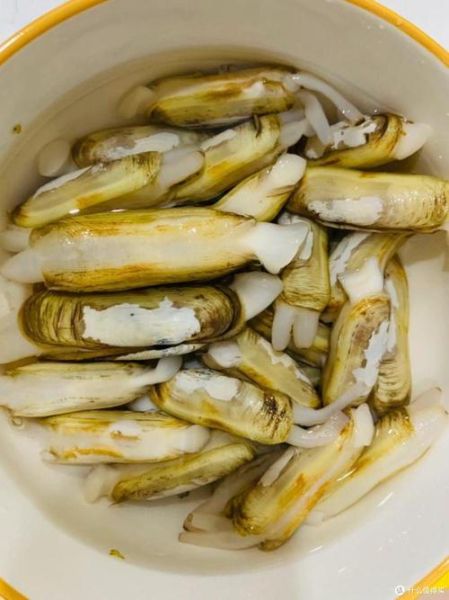 蚬子和花蛤的区别_哪个更鲜美-第2张图片-山城妙识