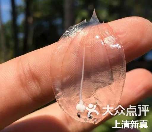 比目鱼工作室怎么样_比目鱼工作室靠谱吗-第1张图片-山城妙识