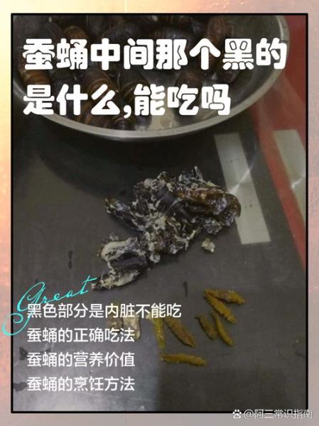 蚕蛹中间的黑心是什么_蚕蛹黑心能吃吗-第1张图片-山城妙识