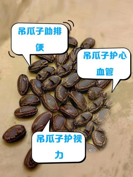 吊瓜子吃多了对身体有害吗_吊瓜子的副作用-第2张图片-山城妙识