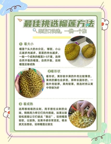 榴莲吃了皮肤好得不得了_榴莲对皮肤有哪些好处-第3张图片-山城妙识