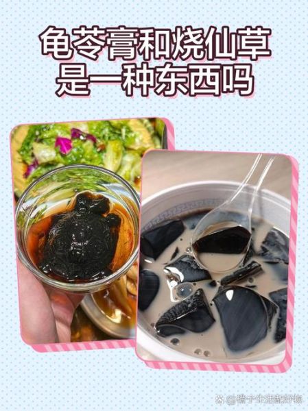 烧仙草和龟苓膏一样吗_区别与功效对比-第1张图片-山城妙识