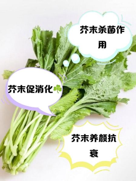 芥末怎么吃才正确_芥末的正确吃法-第1张图片-山城妙识