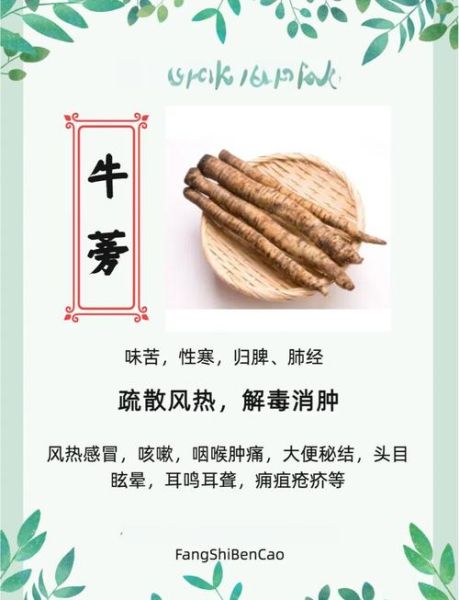 牛蒡怎么吃减肥_牛蒡减肥食谱推荐-第1张图片-山城妙识