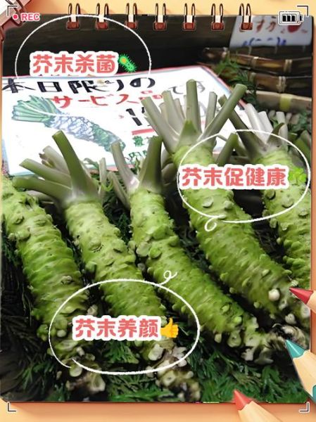 芥末怎么吃才正确_芥末的正确吃法-第2张图片-山城妙识