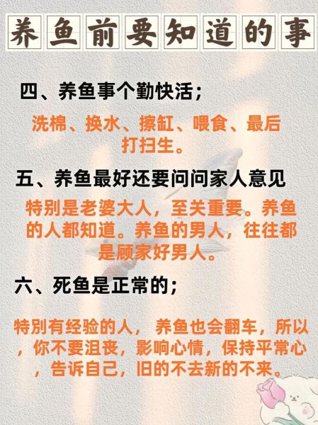 养鱼是什么意思_养鱼是什么网络用语-第3张图片-山城妙识