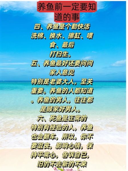 养鱼是什么意思_养鱼是什么网络用语-第2张图片-山城妙识