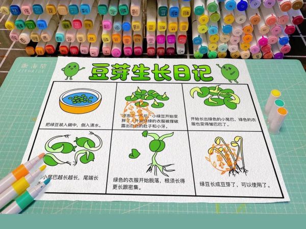 豆芽怎么发芽_豆芽生长过程图片解析-第2张图片-山城妙识