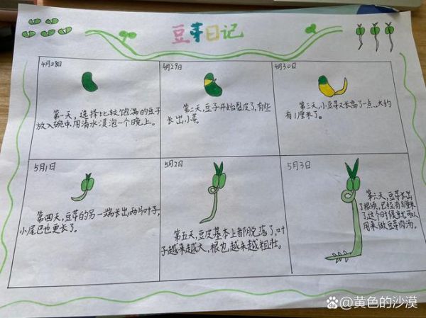 豆芽怎么发芽_豆芽生长过程图片解析-第3张图片-山城妙识