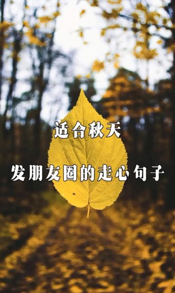 刚入秋的唯美句子_适合发朋友圈的文案-第1张图片-山城妙识