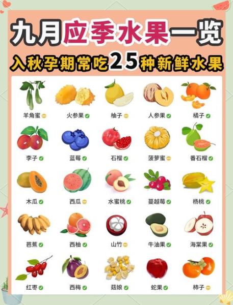 孕妇水果推荐_哪些水果适合孕妇吃-第1张图片-山城妙识