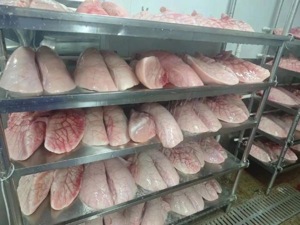 猪肺疫用什么药最有效_猪肺疫怎么治疗最快-第3张图片-山城妙识