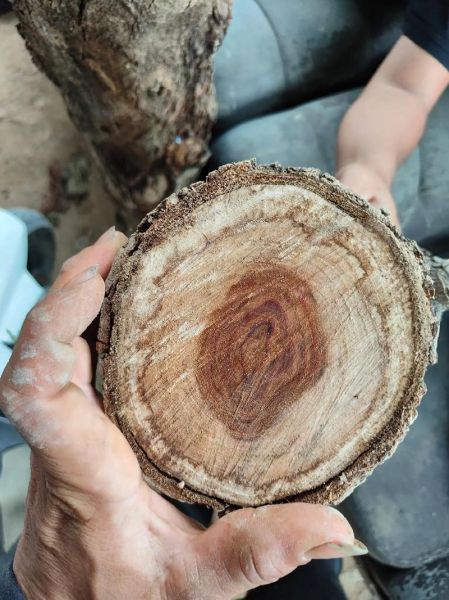 黄花梨价格多少钱一斤_2024最新行情-第2张图片-山城妙识