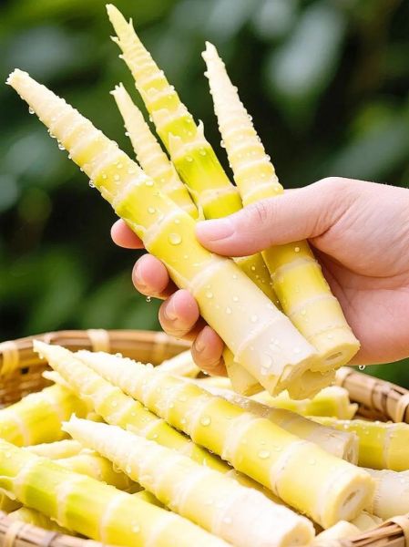 笋尖和笋片的区别_哪个部位更嫩-第1张图片-山城妙识