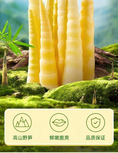 笋尖和笋片的区别_哪个部位更嫩-第2张图片-山城妙识