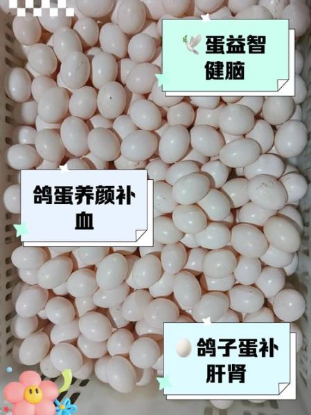 鸽子蛋为什么那么贵_鸽子蛋营养价值高吗-第2张图片-山城妙识