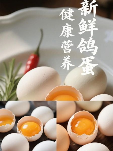 鸽子蛋为什么那么贵_鸽子蛋营养价值高吗-第3张图片-山城妙识