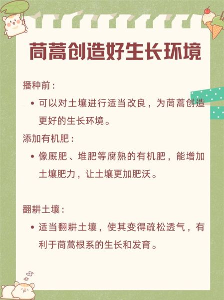 茼蒿什么时候播种最好_茼蒿播种最佳月份-第2张图片-山城妙识 茼蒿什么时候播种最好_茼蒿播种最佳月份-第2张图片-山城妙识
