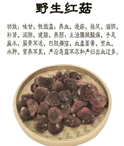 松蘑的功效与作用禁忌_松蘑什么人不能吃-第3张图片-山城妙识