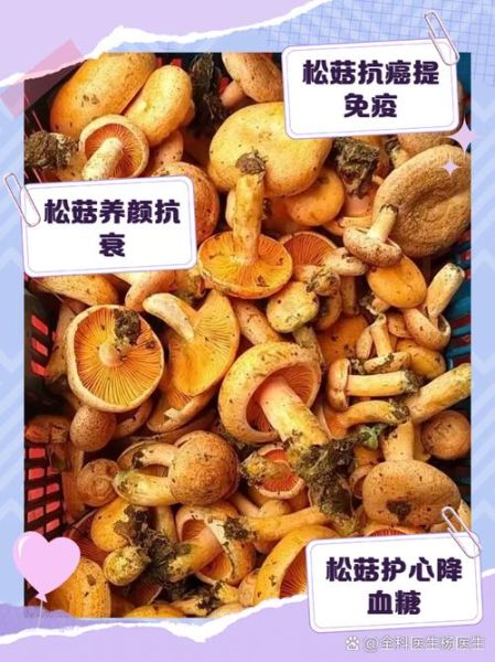 松蘑的功效与作用禁忌_松蘑什么人不能吃-第1张图片-山城妙识