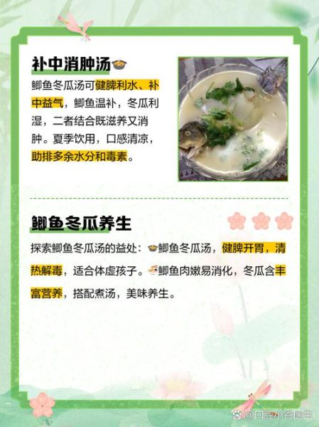 鲫鱼冬瓜汤怎么做_鲫鱼冬瓜汤的功效与禁忌-第2张图片-山城妙识