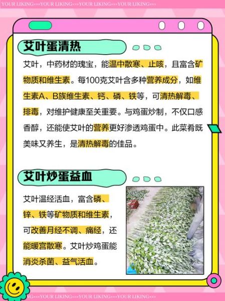 艾叶煎鸡蛋禁忌_孕妇能吃吗-第3张图片-山城妙识