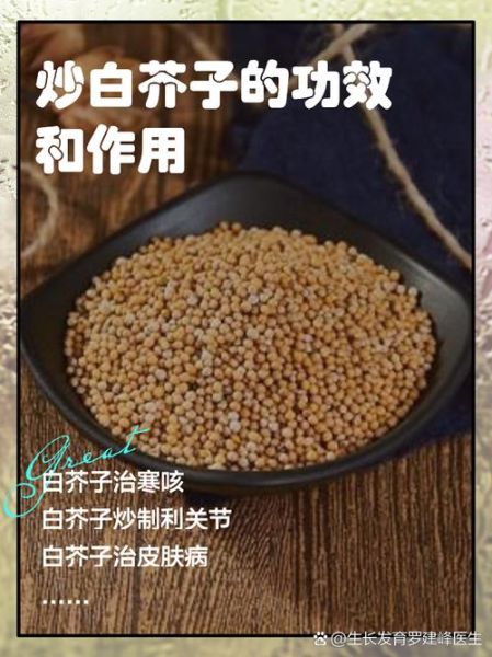 芥子是什么_芥子有哪些功效与作用-第1张图片-山城妙识