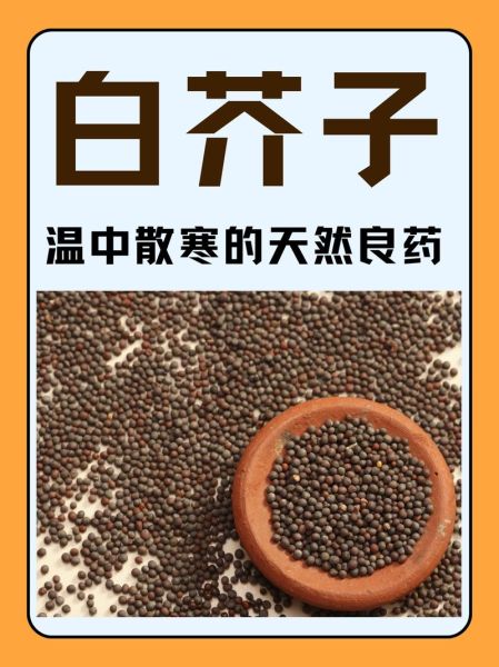 芥子是什么_芥子有哪些功效与作用-第2张图片-山城妙识