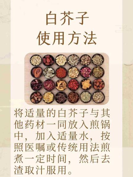 芥子是什么_芥子有哪些功效与作用-第3张图片-山城妙识