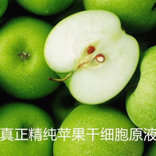 苹果干细胞美容效果怎么样_苹果干细胞能抗衰老吗-第2张图片-山城妙识