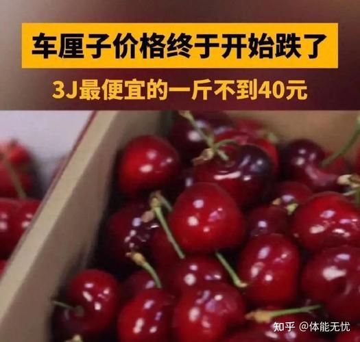 车厘子价格多少钱一斤_车厘子为什么那么贵-第2张图片-山城妙识
