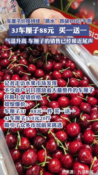 车厘子价格多少钱一斤_车厘子为什么那么贵-第3张图片-山城妙识