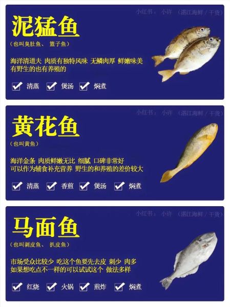 海鱼种类大全_常见海鱼名称及图片-第3张图片-山城妙识 海鱼种类大全_常见海鱼名称及图片-第3张图片-山城妙识