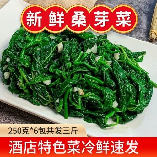 新鲜桑叶怎么吃_新鲜桑叶的禁忌-第1张图片-山城妙识