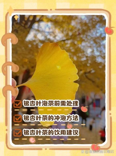 银杏叶怎么处理才能泡茶_银杏叶泡茶前要不要焯水-第1张图片-山城妙识