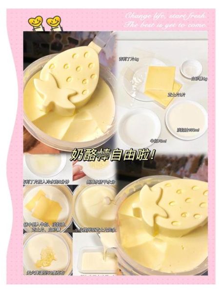 奶酪怎么做出来的_家庭奶酪制作步骤-第2张图片-山城妙识