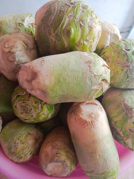 大头菜咸菜怎么做_大头菜咸菜的家常做法-第3张图片-山城妙识 大头菜咸菜怎么做_大头菜咸菜的家常做法-第3张图片-山城妙识