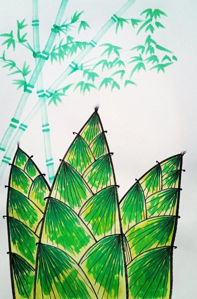 春笋怎么画_春笋图片绘画步骤-第3张图片-山城妙识