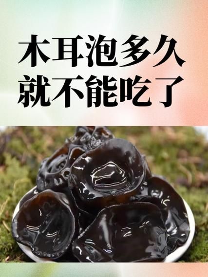 木耳泡多久就不能吃了_中毒风险有多大-第1张图片-山城妙识