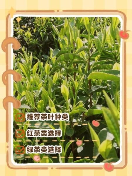 自己煮奶茶用什么茶叶_怎么煮不苦-第3张图片-山城妙识 自己煮奶茶用什么茶叶_怎么煮不苦-第3张图片-山城妙识