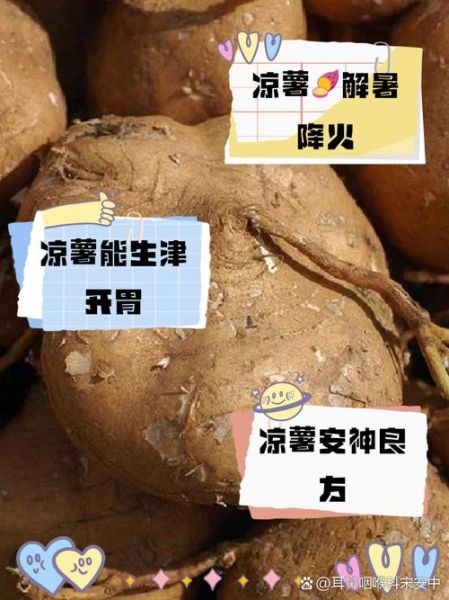 凉薯的功效与作用_凉薯怎么吃最健康-第2张图片-山城妙识