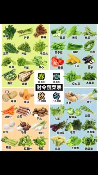 夏天吃的蔬菜有哪些_夏季应季蔬菜推荐-第2张图片-山城妙识