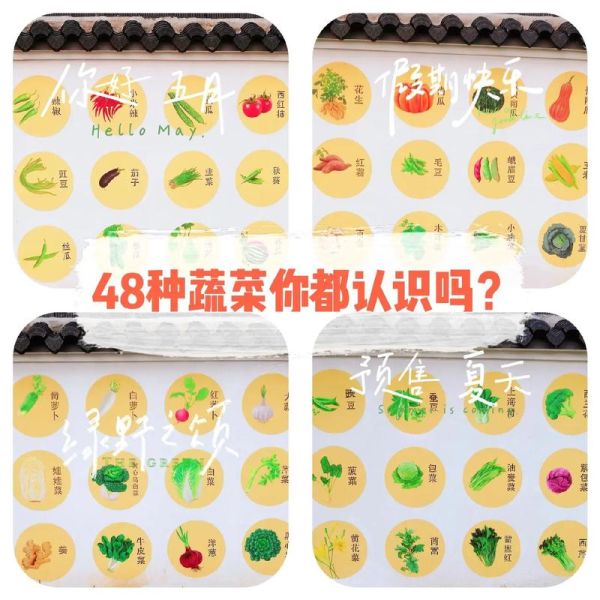 夏天吃的蔬菜有哪些_夏季应季蔬菜推荐-第3张图片-山城妙识