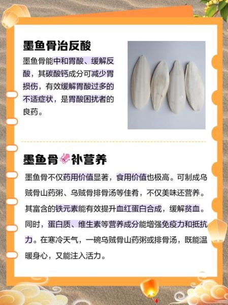 墨鱼骨头有什么用途_墨鱼骨头的功效与作用-第1张图片-山城妙识
