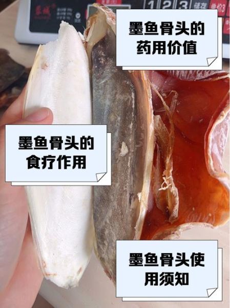 墨鱼骨头有什么用途_墨鱼骨头的功效与作用-第2张图片-山城妙识